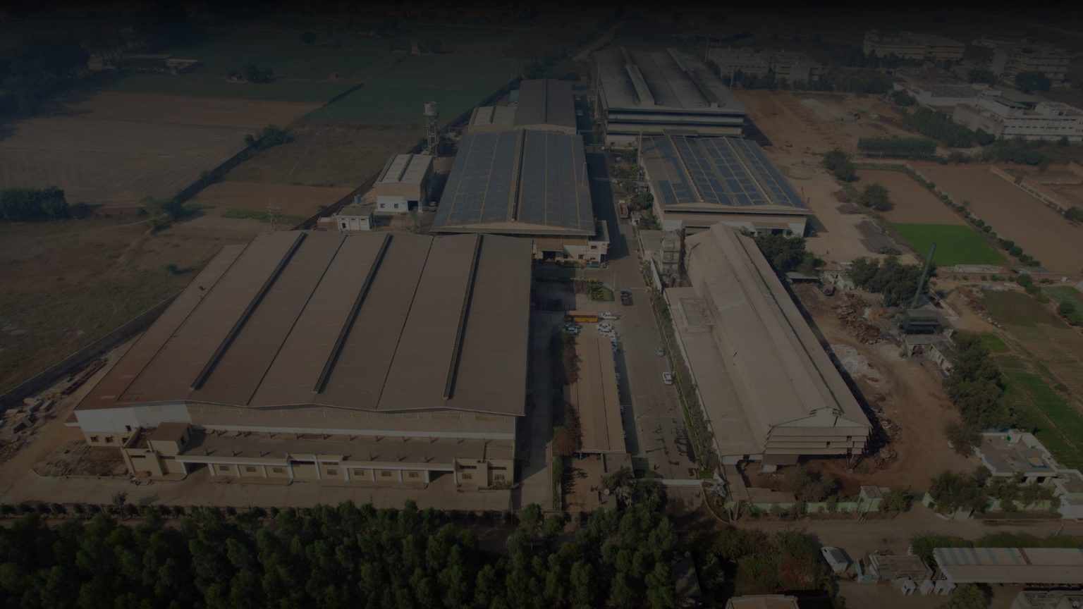 R.N. Gupta & Co. Simplifies EU Exports with TSC NetZero CBAM Reporting